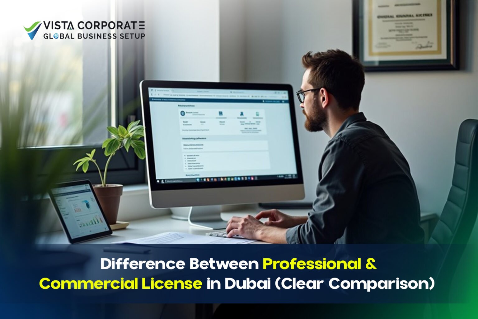 Difference Between Professional & Commercial License in Dubai